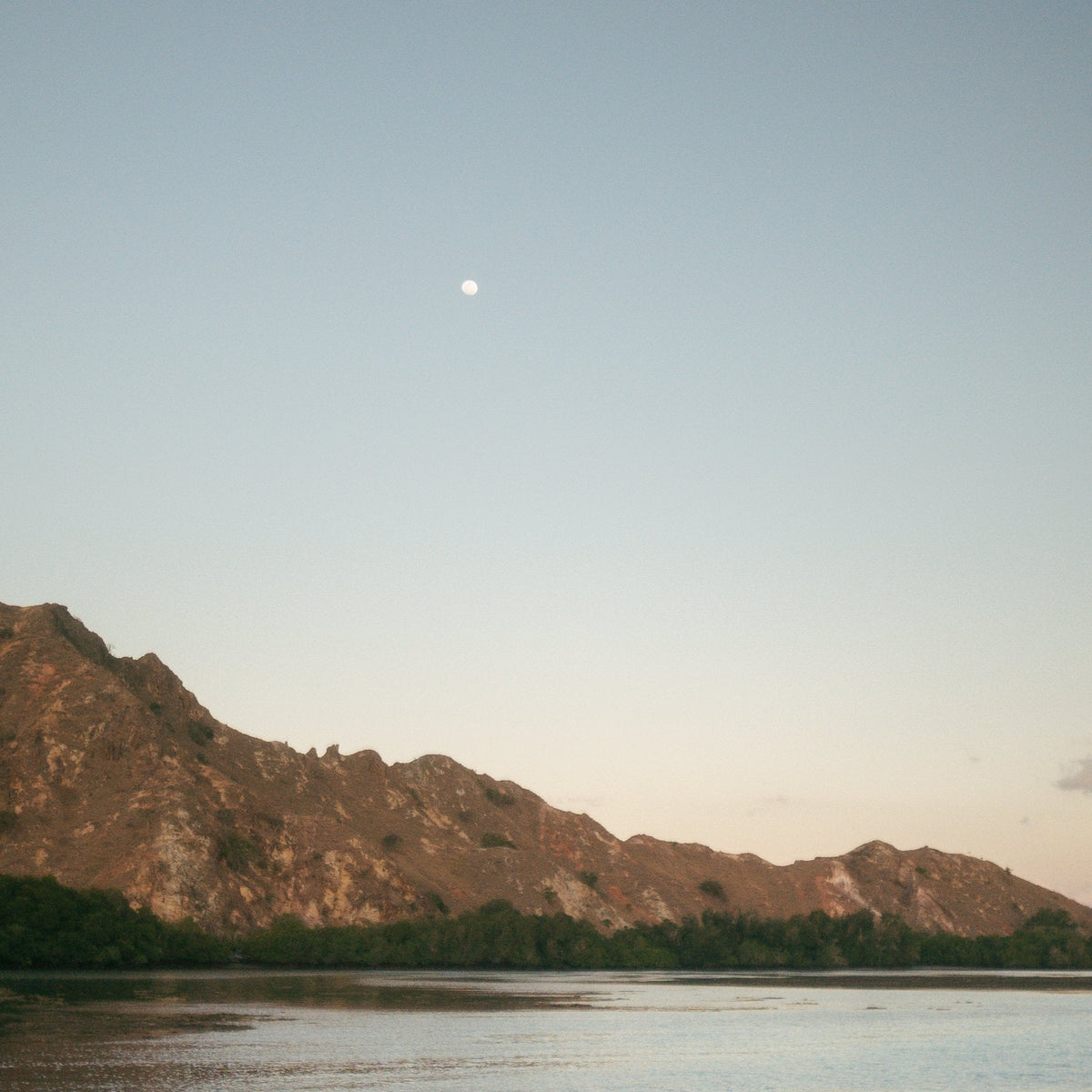 SI Experience – Real Connections. One Ocean – Surface Interval